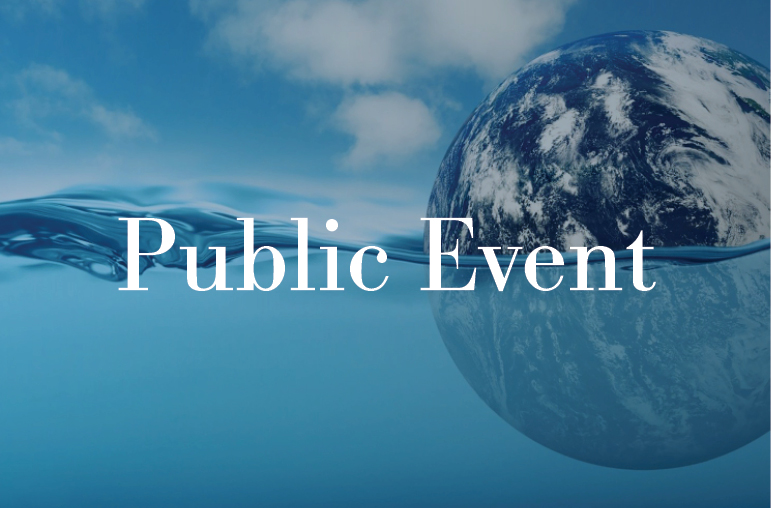 S.T. Lee Lecture with Andrea Rinaldo - Events | Institute for Advanced ...