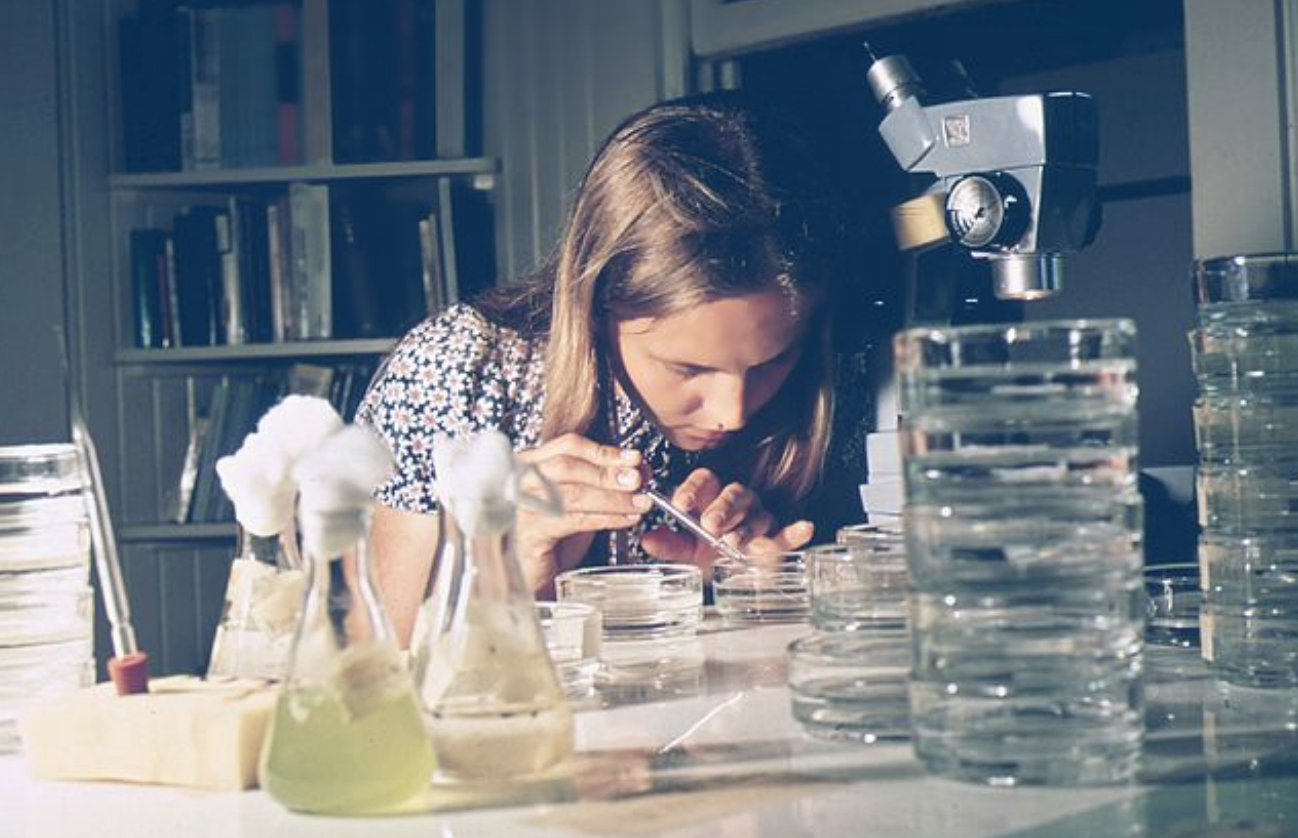 When “Useless” Research Has Long-Term Benefits - In the Media ...