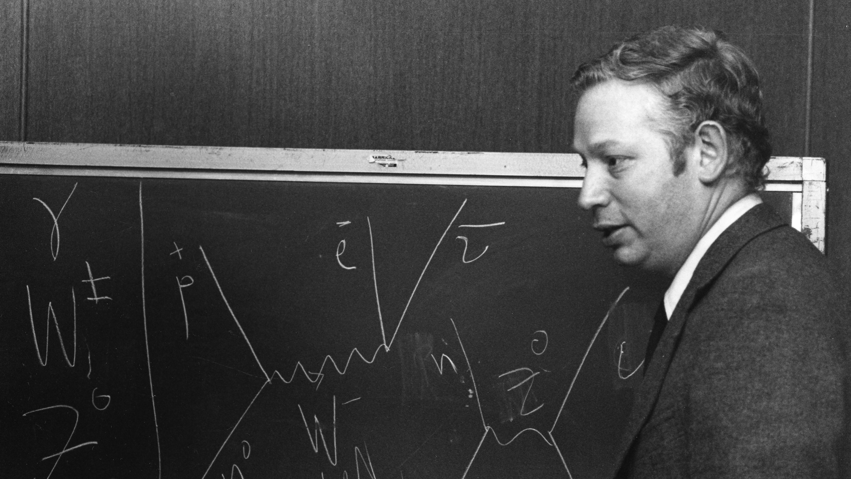 How Steven Weinberg Transformed Physics and Physicists - In the Media ...
