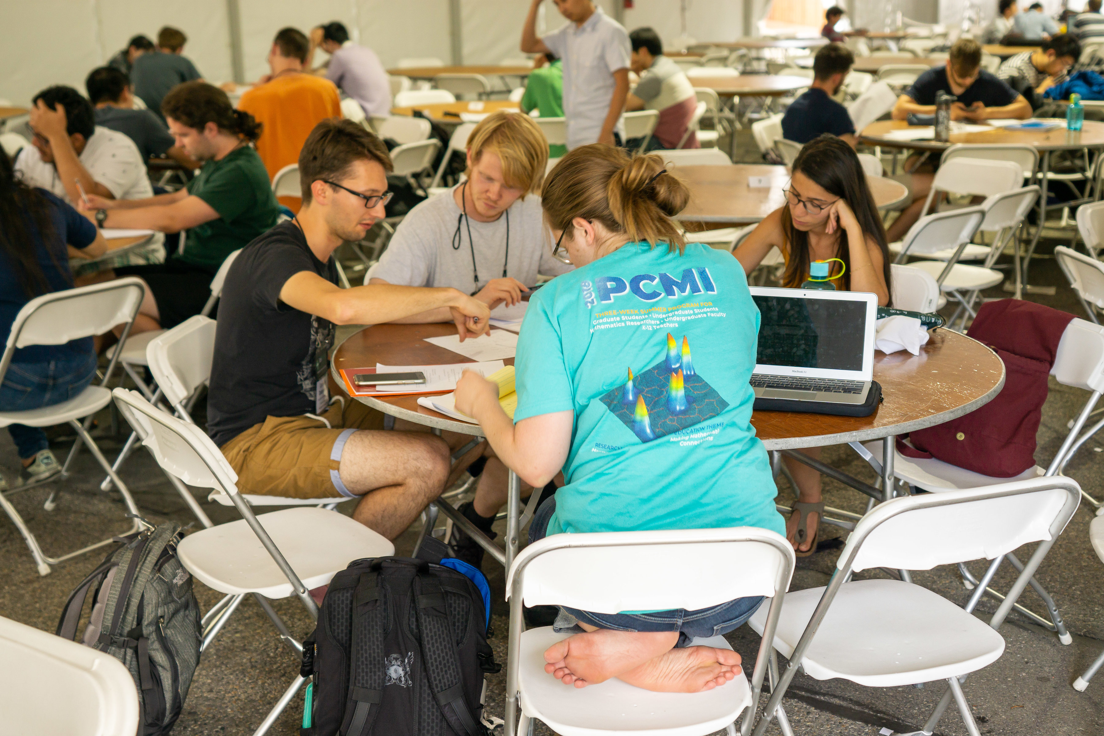 PCMI Poster Images | Institute for Advanced Study