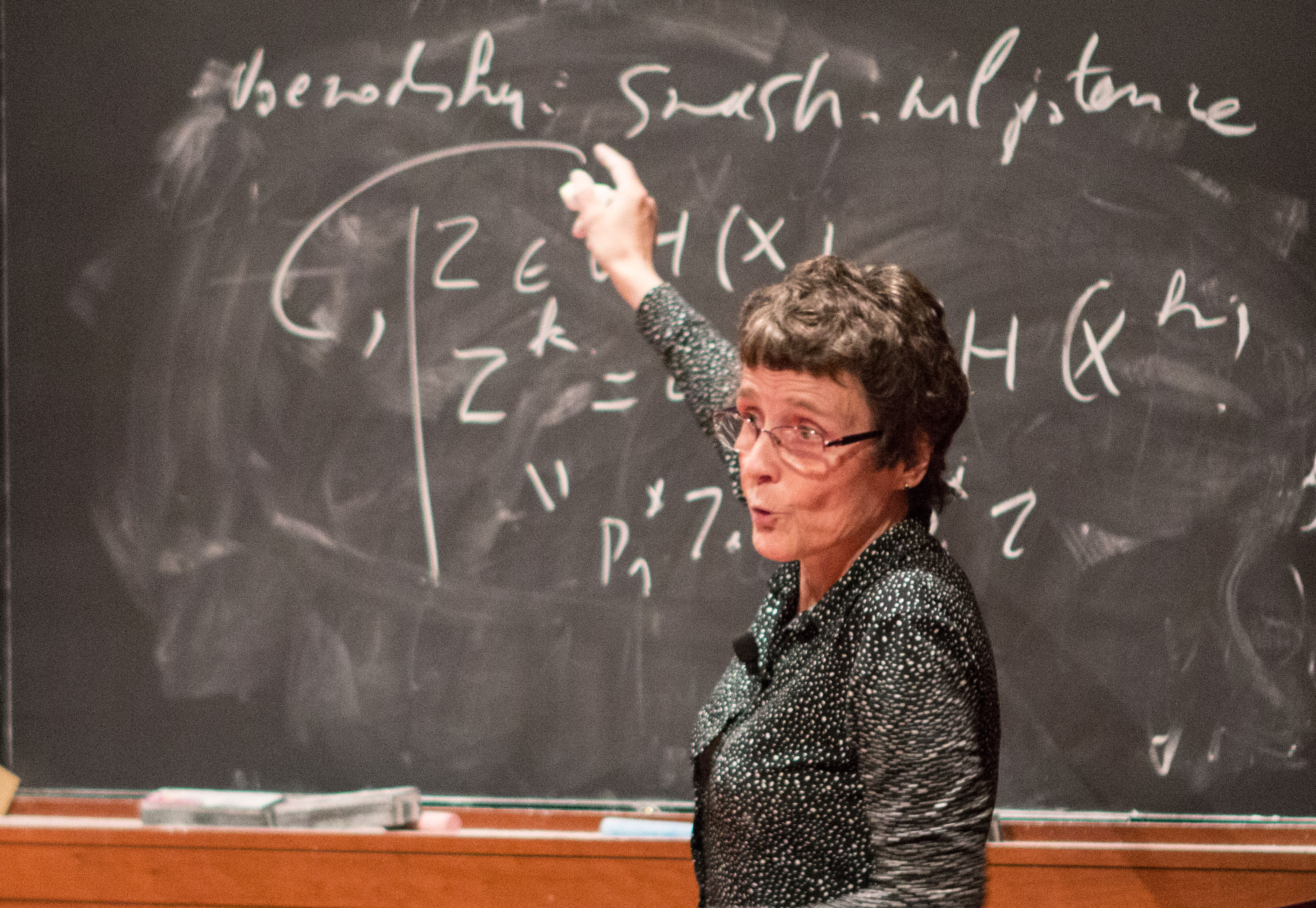 Watch Lectures from the Vladimir Voevodsky Memorial Conference - Ideas ...