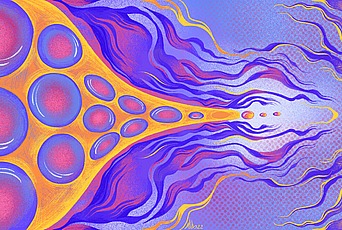 What Is the Langlands Program? - In the Media | Institute for Advanced ...