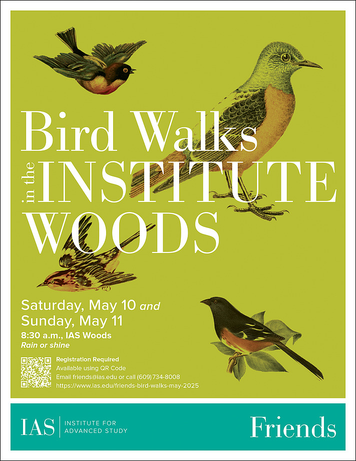 Friends Bird Walks | Institute for Advanced Study