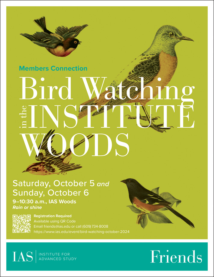 Friends Members Connection: Bird Watching in the Institute Woods ...