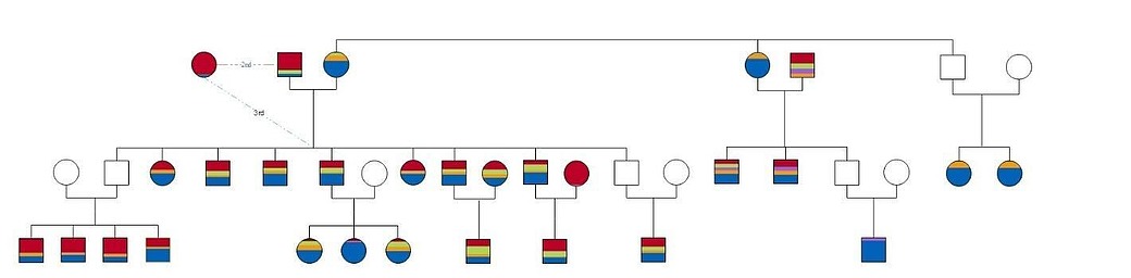 Bridging the Two Culture Divide - Ideas | Institute for Advanced Study