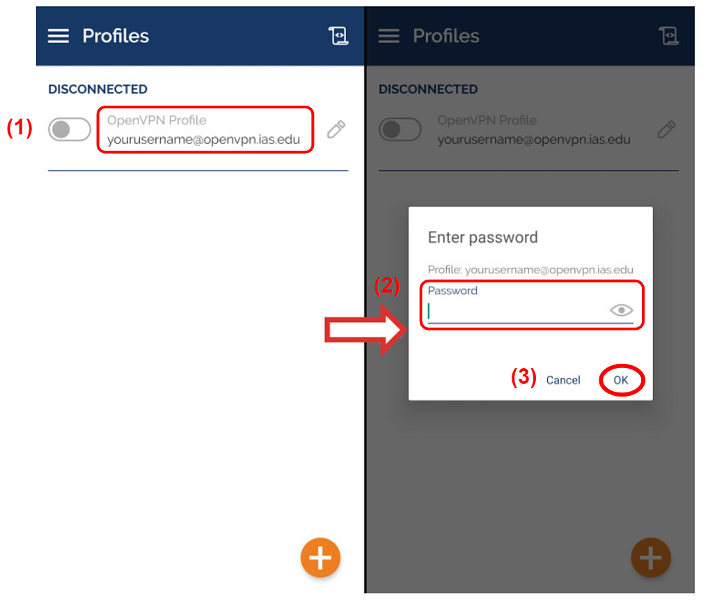 OpenVPN Installation Guide - IAS Computing | Institute for Advanced Study